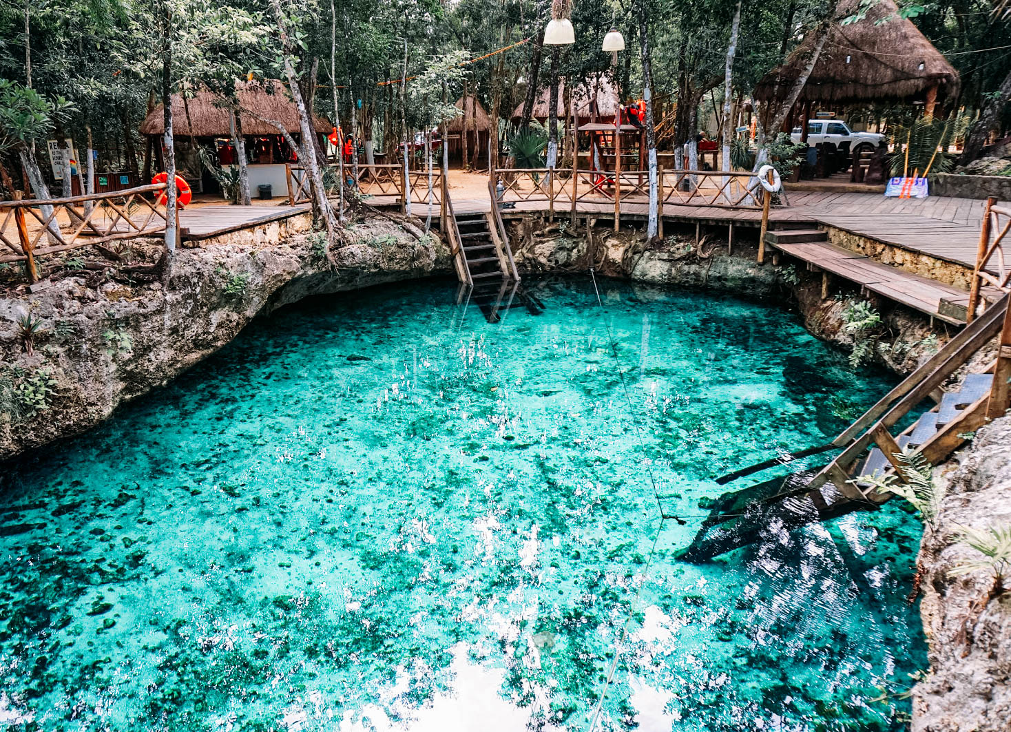 The 5 Best Cenotes in Tulum – PINK NEON LIPS